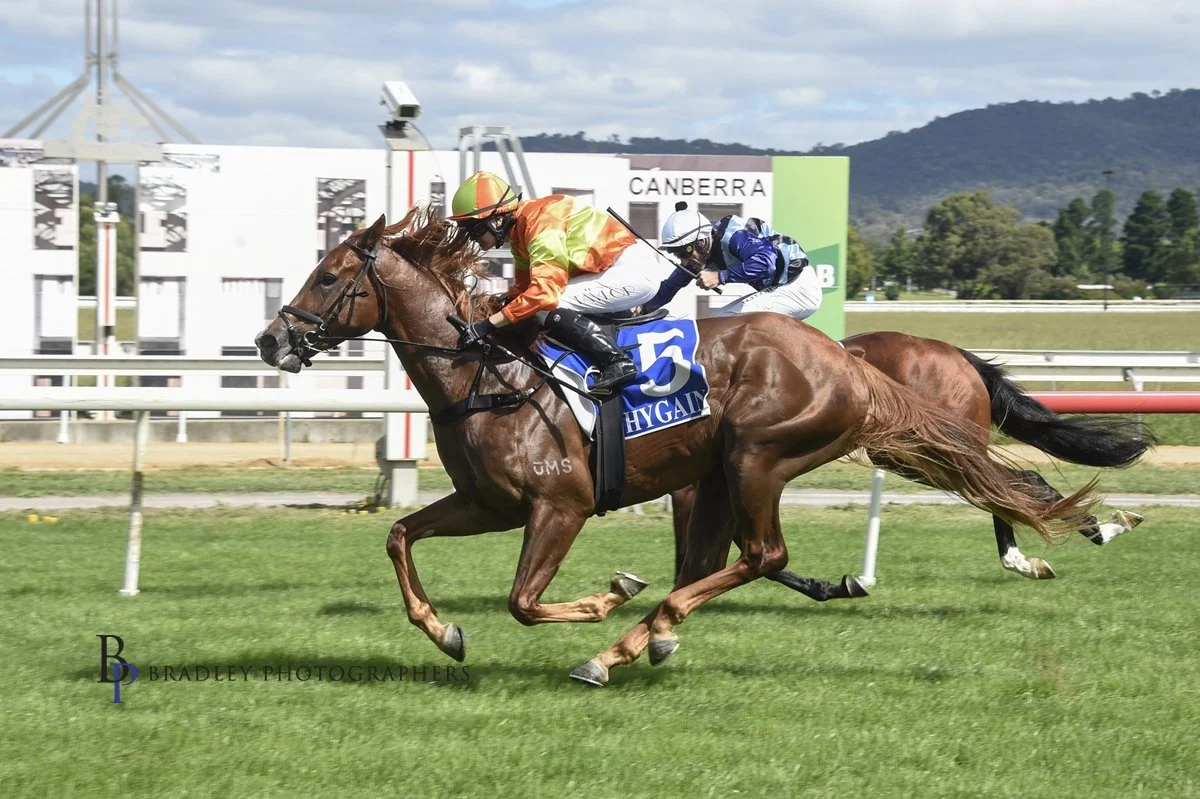 Gallery — JASON COYLE RACING