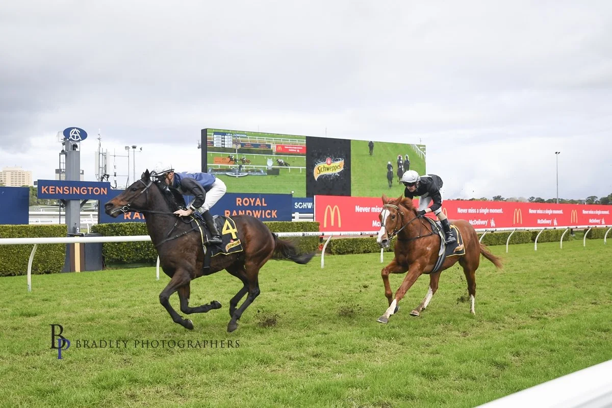 Gallery — JASON COYLE RACING