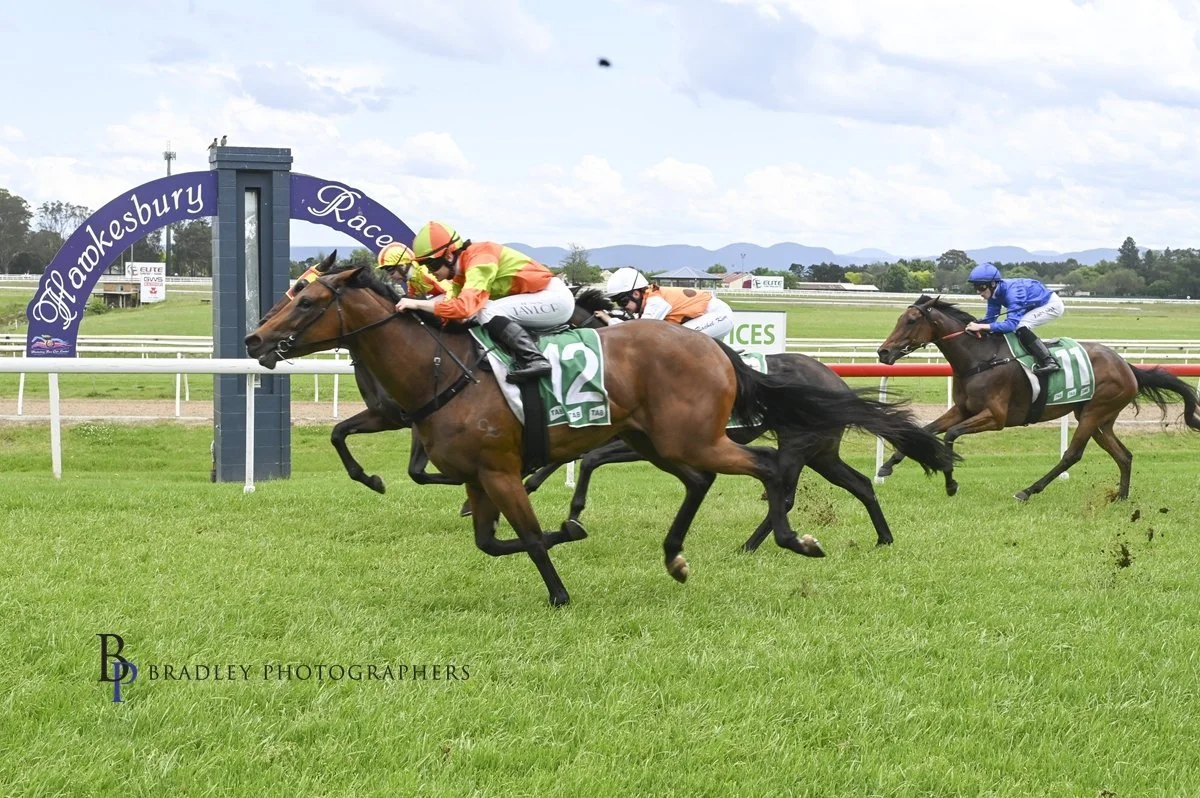 Gallery — JASON COYLE RACING