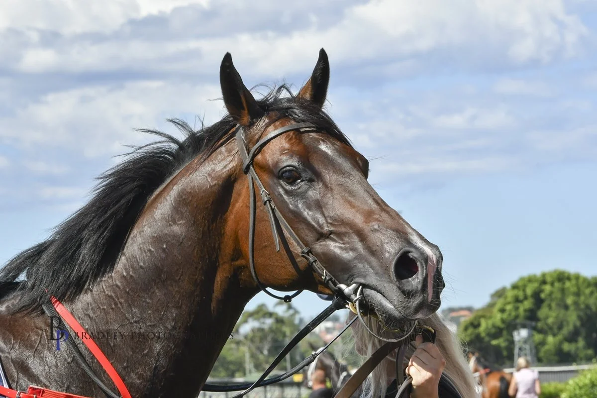 Gallery — JASON COYLE RACING