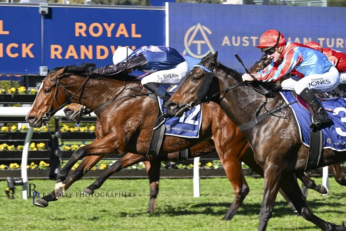 Gallery — JASON COYLE RACING