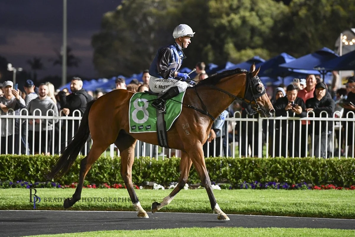 Gallery — JASON COYLE RACING
