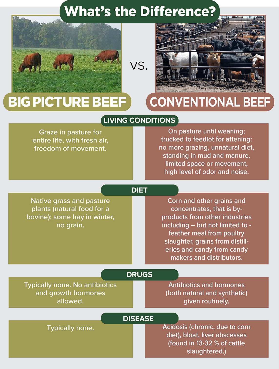 Feedlot Conditions Big Picture Beef feedlot-conditions-big-picture-beef