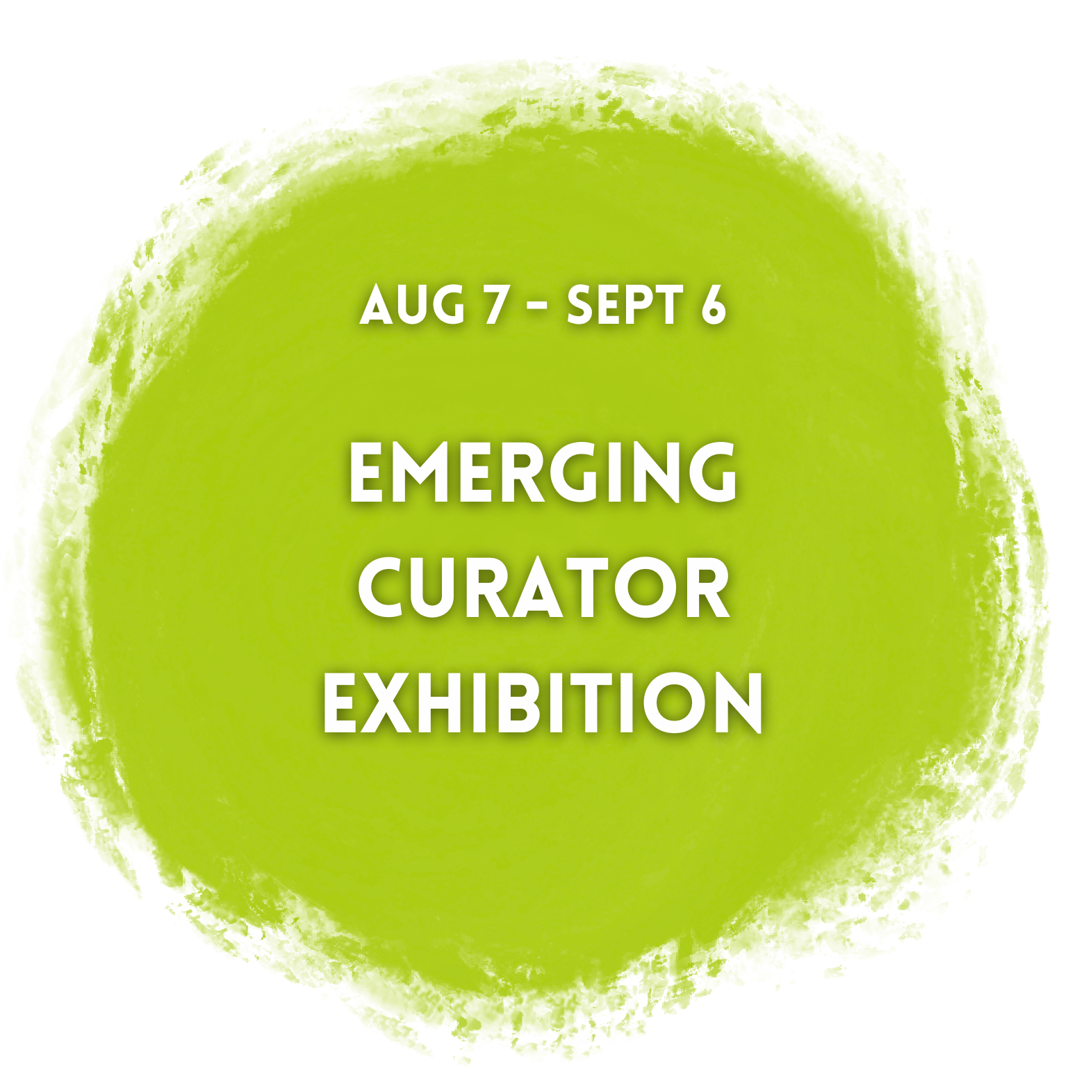 3rd Annual Emerging Curator Exhibition — Oak Park Art League