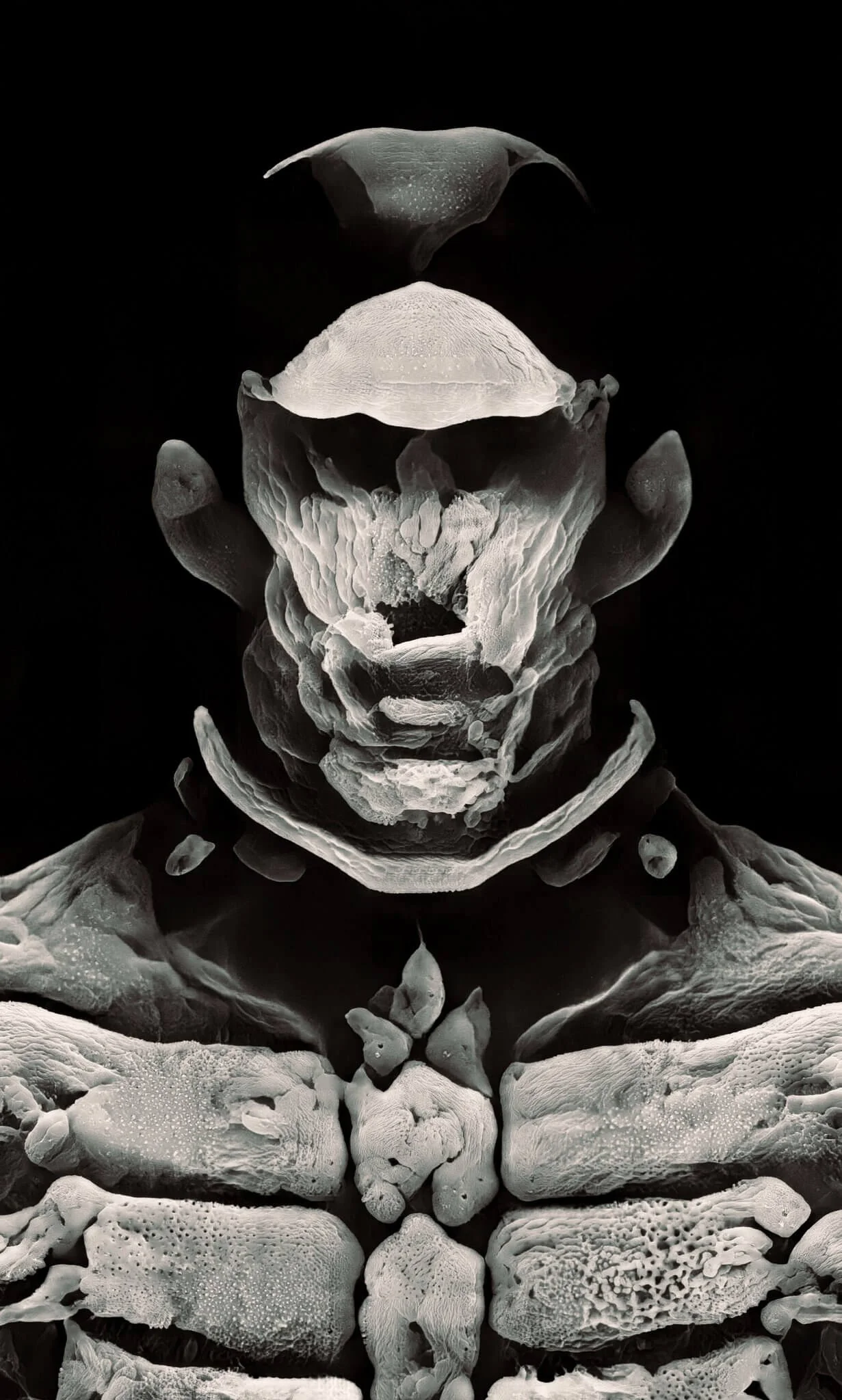 Mario Klingemann – Artist Profile (Photos, Videos, Exhibitions ...