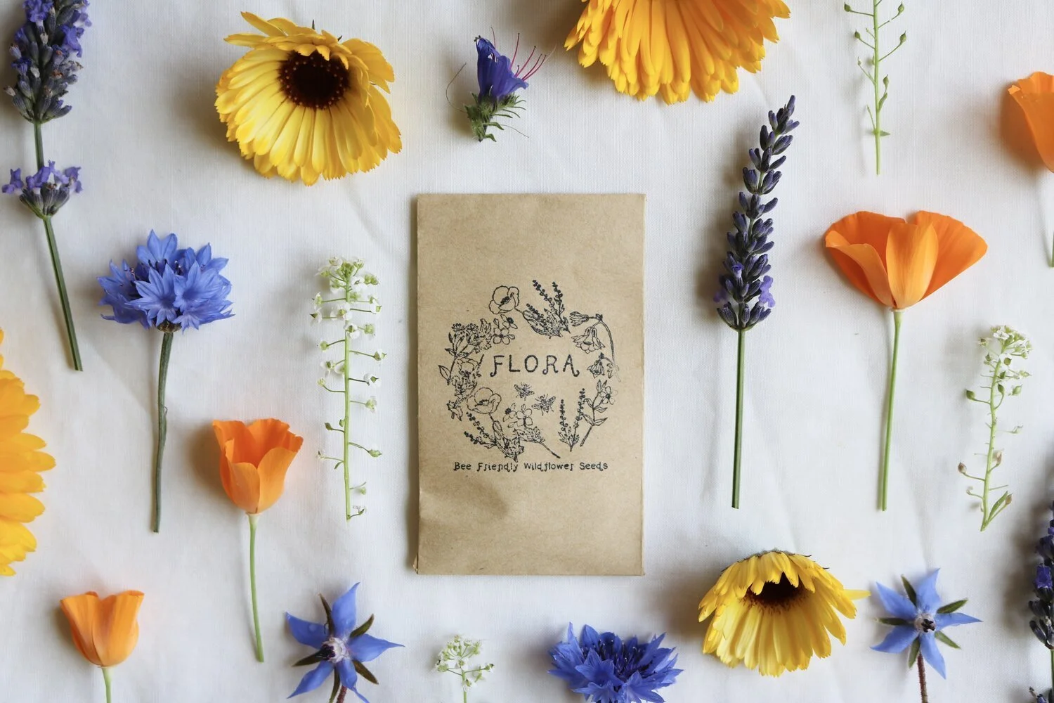 A Beginner's Guide to House Plants — Ethically So.