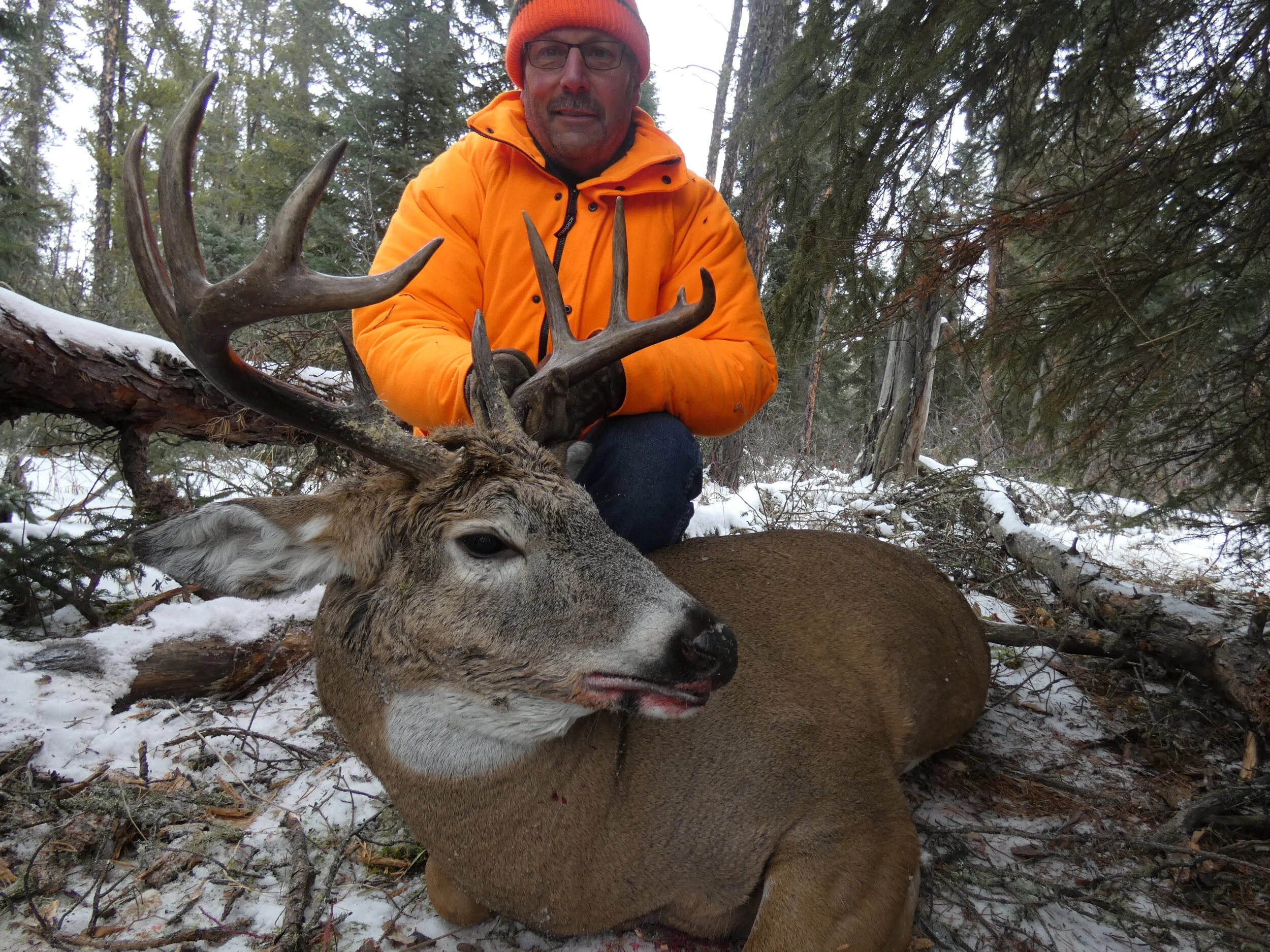 Deer Hunts — Candle Lake Outfitters
