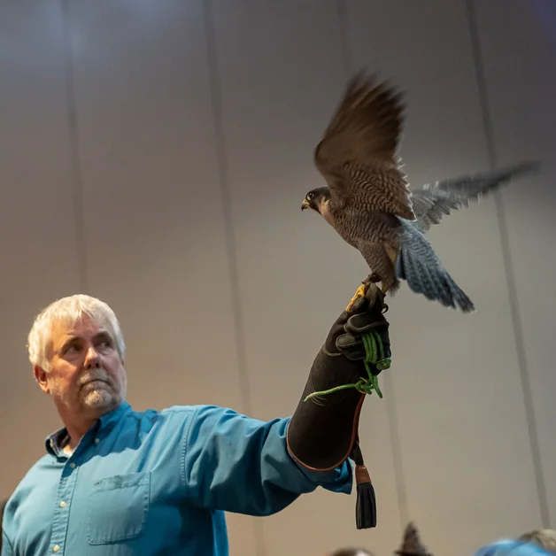 Sony A7III and Lots and Lots of birds. — Paul G. Newton