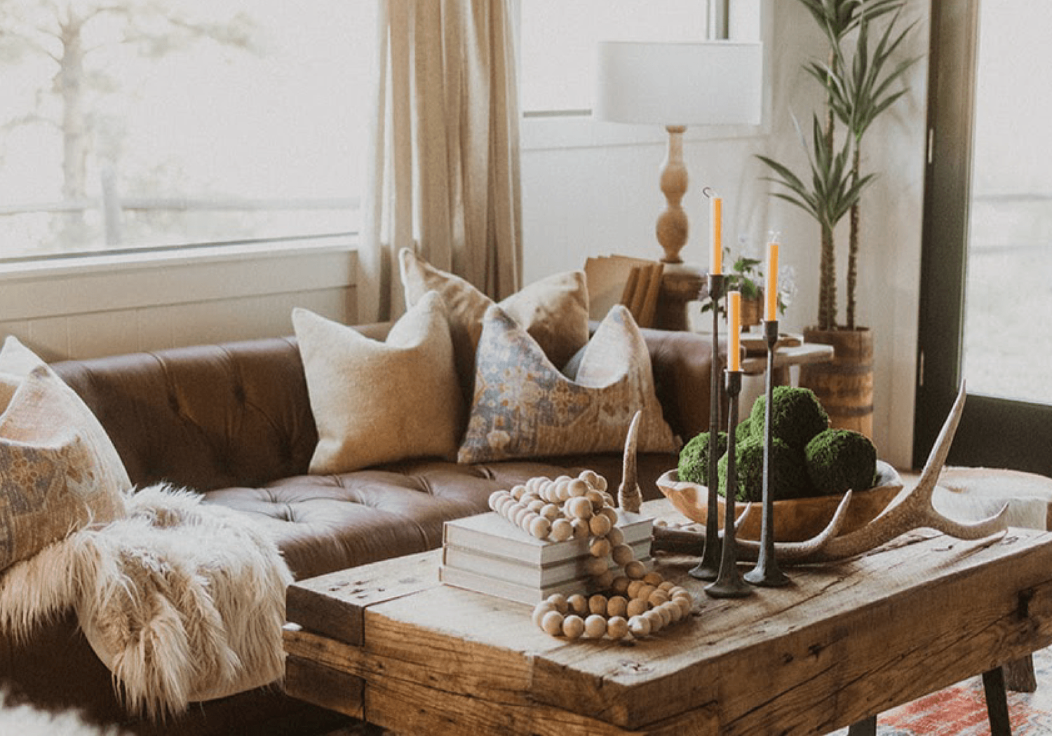 ROOT HOUSE Coffee + Shop