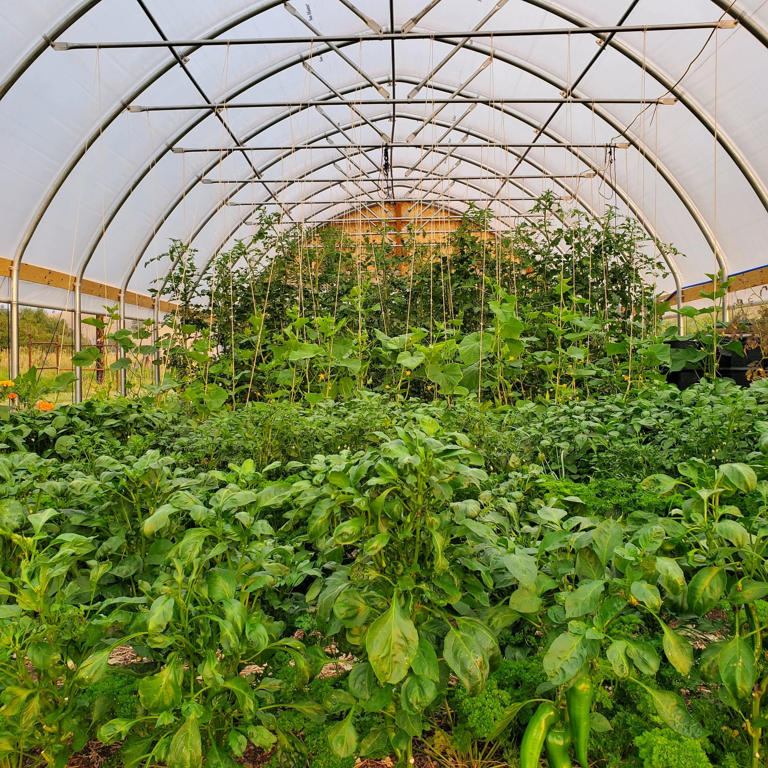 Our Story — Delpine Farms LLC