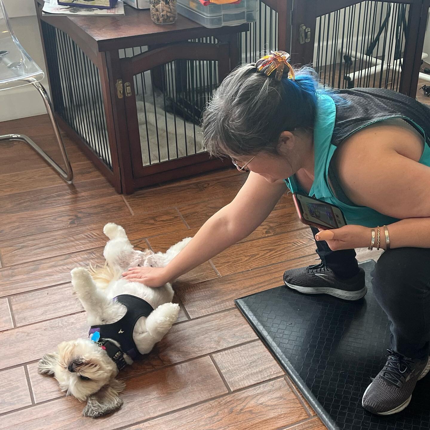 Melissa Michelle Grooming