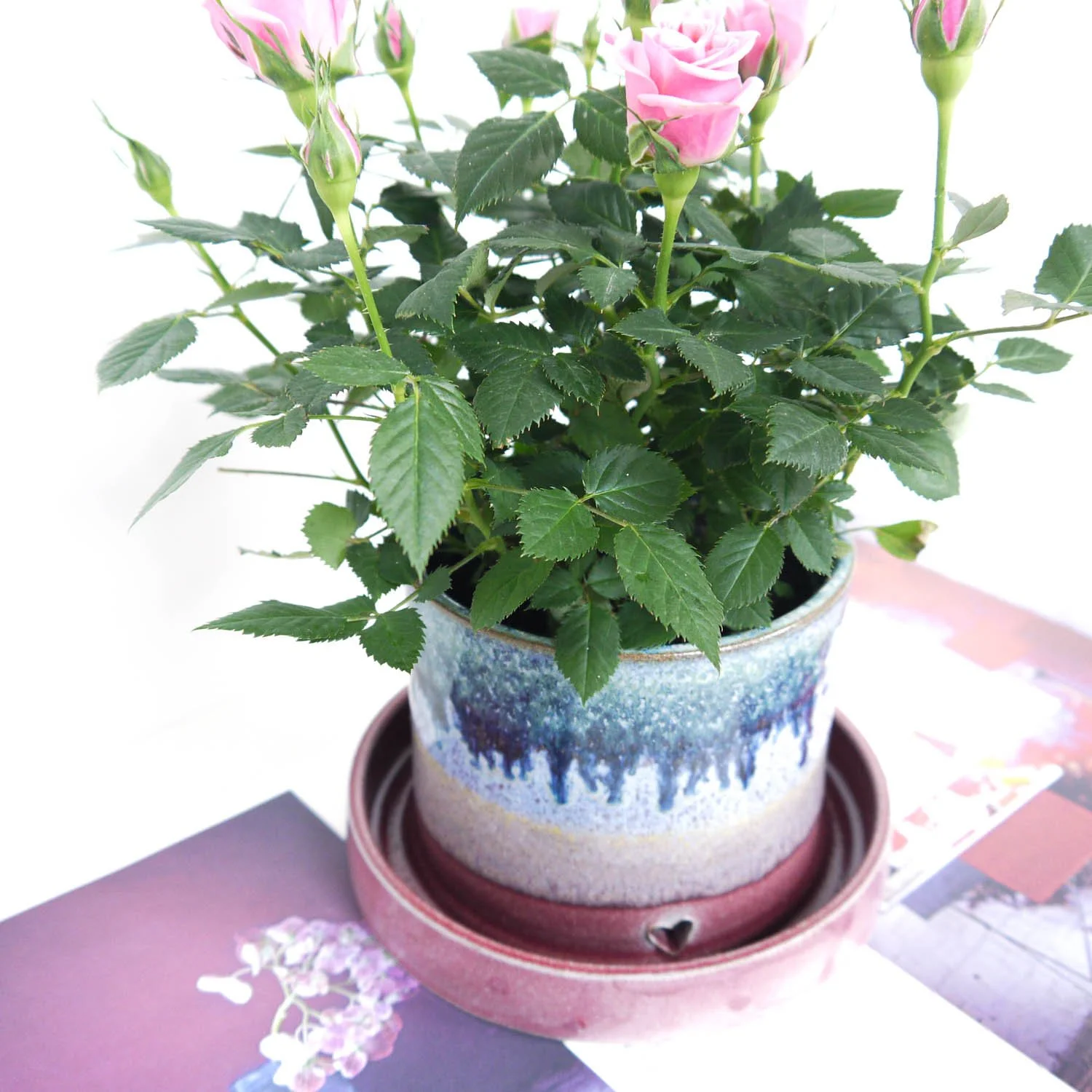 Ceramic Fitch is hand thrown ceramics on a potters wheel using 50% ...