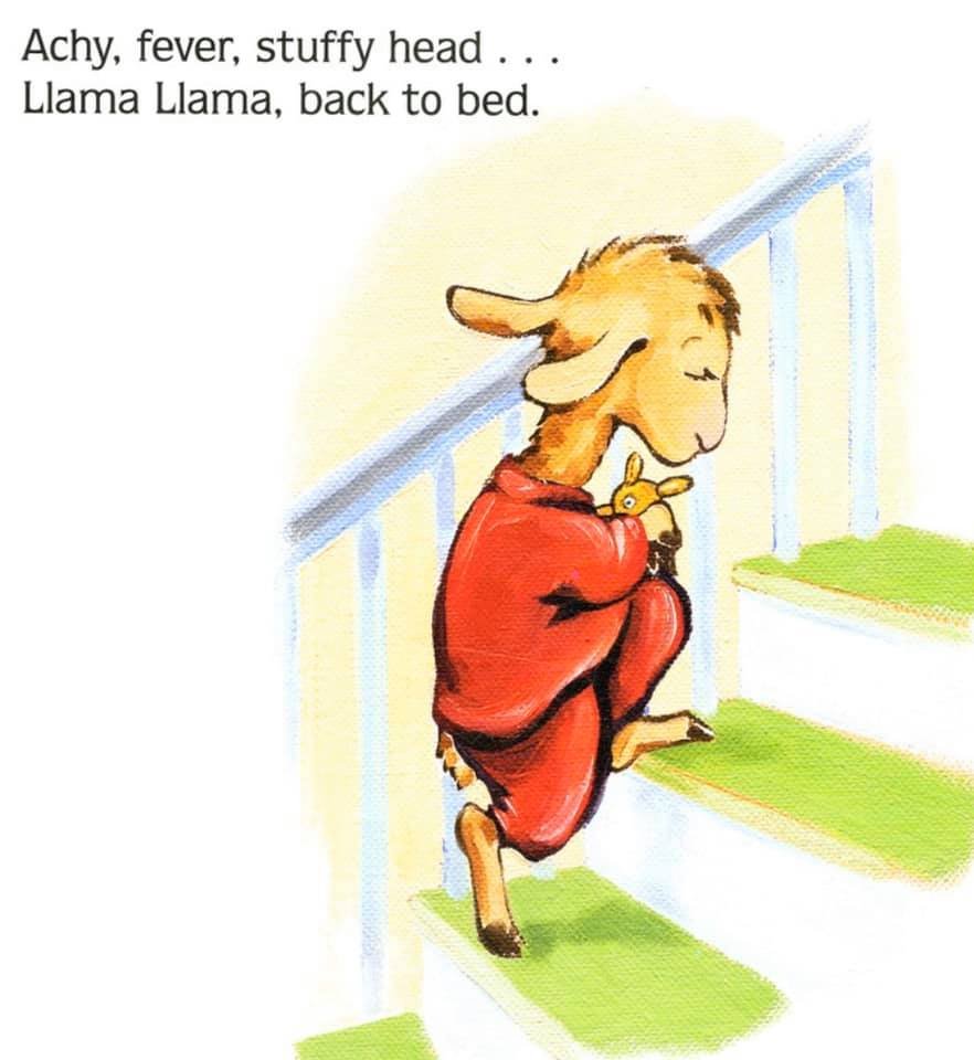 教小朋友表達身體不舒服的英文單字！跟著繪本的千百種滋味讀《Llama llama Home with Mama》