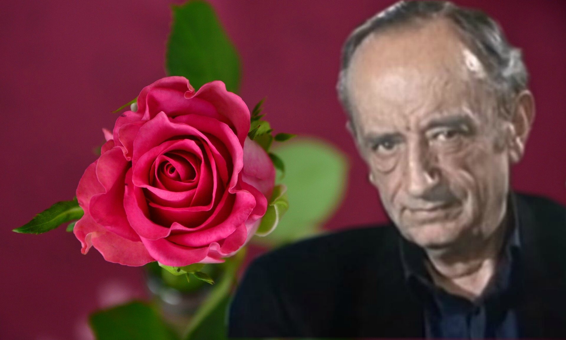 POBEDIO! Pitali su Duška Radovića da čestita OSMI MART, a on je U ...