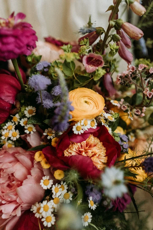 Gallery — Long Lane Farm Flowers