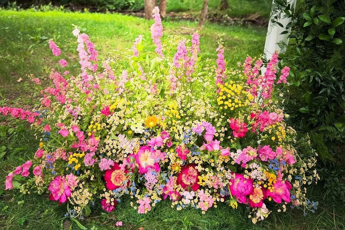 Gallery — Long Lane Farm Flowers
