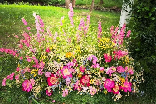 Gallery — Long Lane Farm Flowers