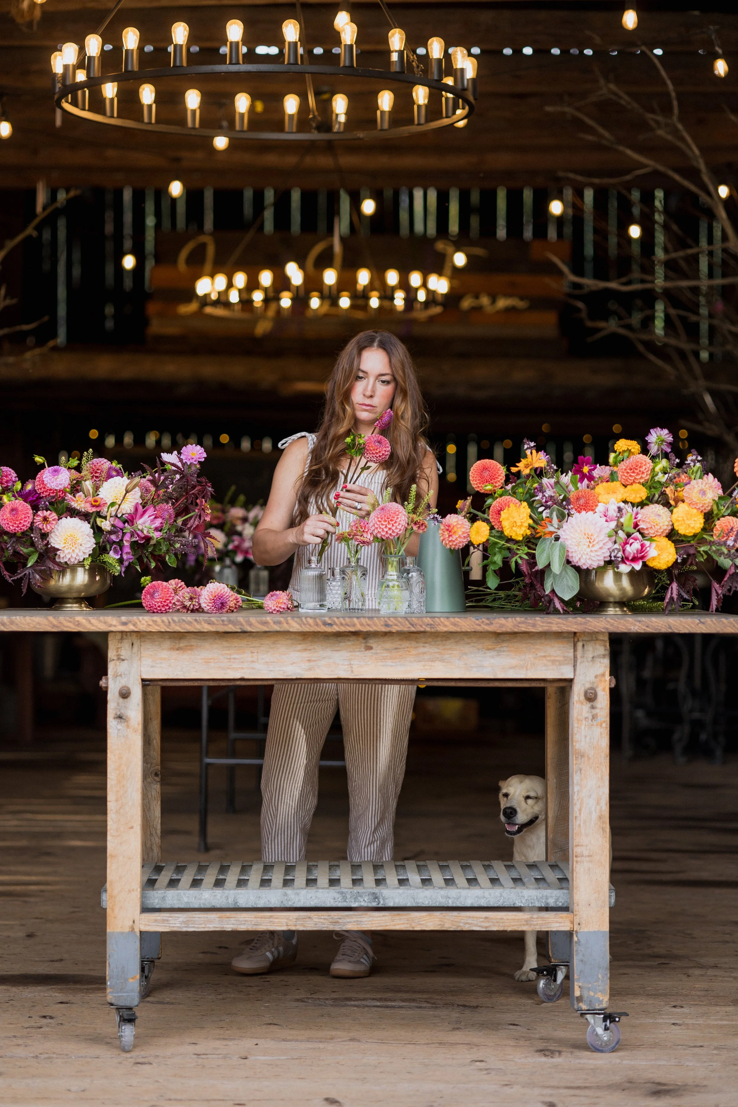 About — Long Lane Farm Flowers
