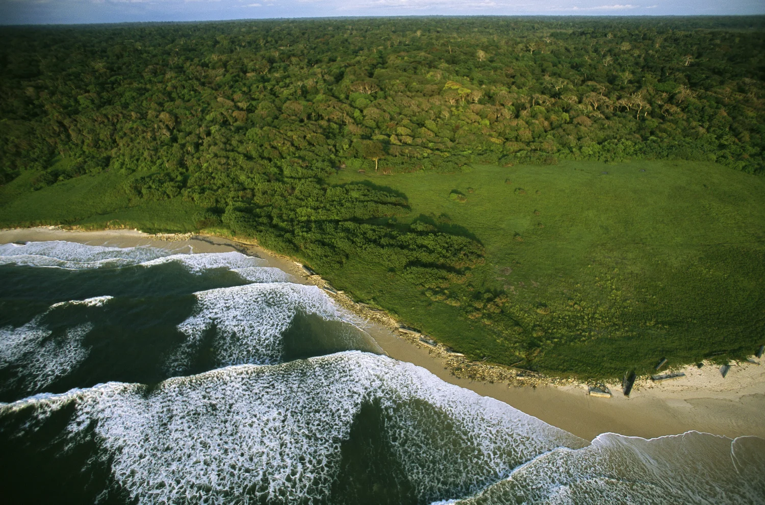 What Are Ecosystem Services, and How Do They Help Our Planet ...