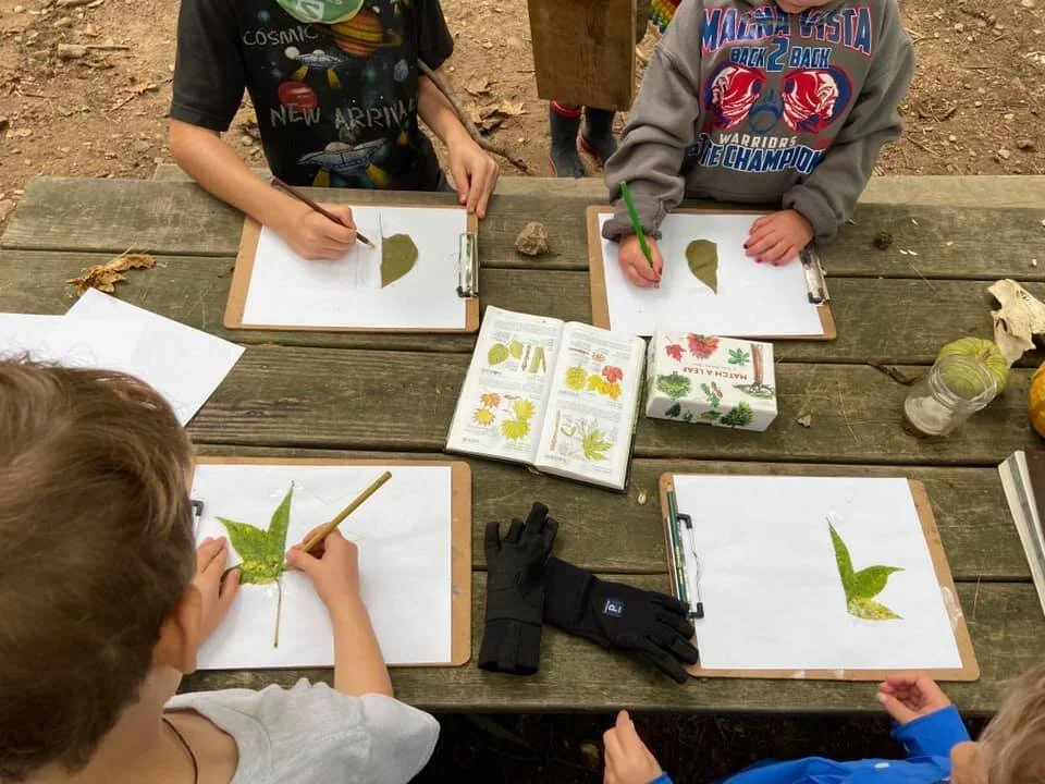 Seedkeepers Forest School