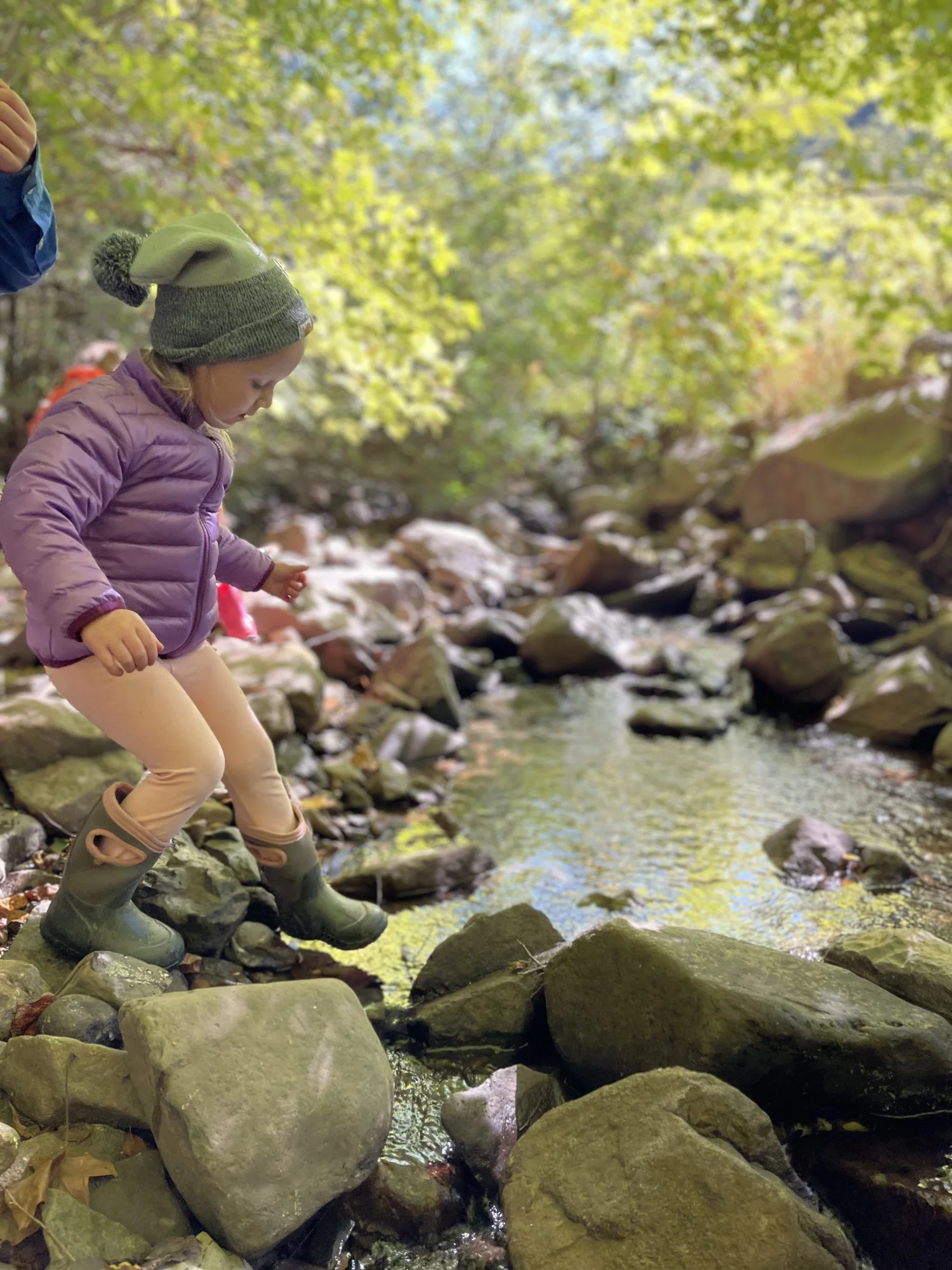 Seedkeepers Forest School