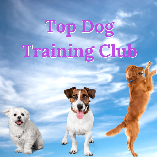 Regular Clubs — Grazeley Village Memorial Hall