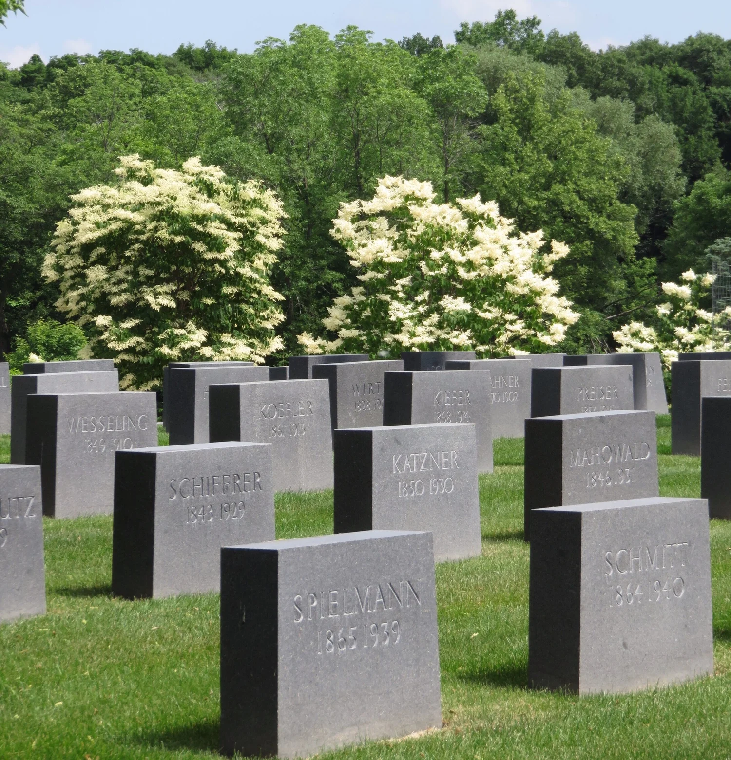 Abbey Cemetery — Saint John's Abbey
