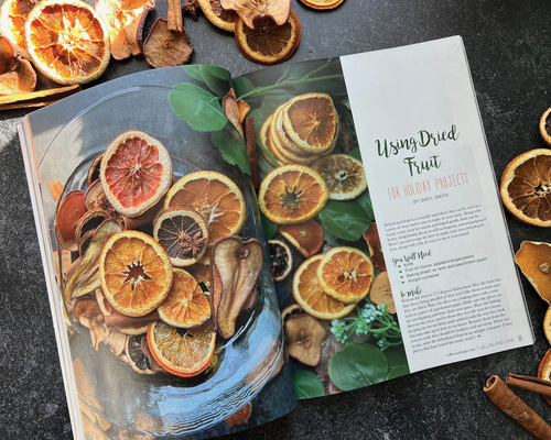 Six Ways to use dried fruit in your fall and holiday projects — DIY ...