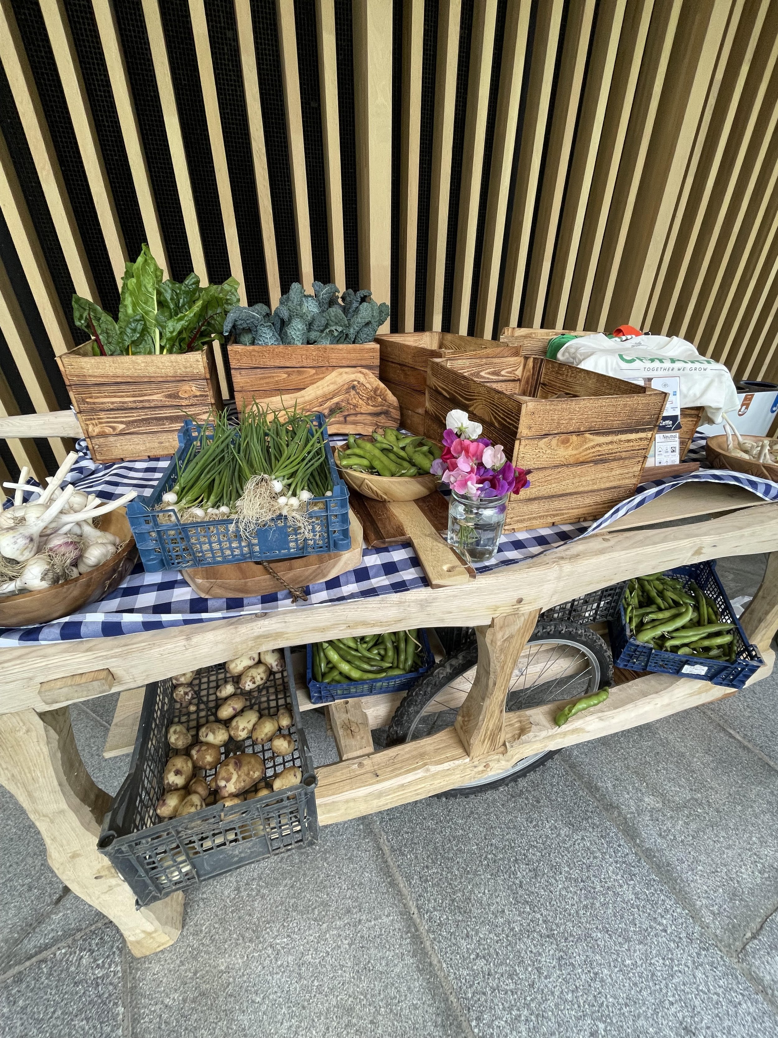 Wheels in motion - beetroots on a barrow — COFARM