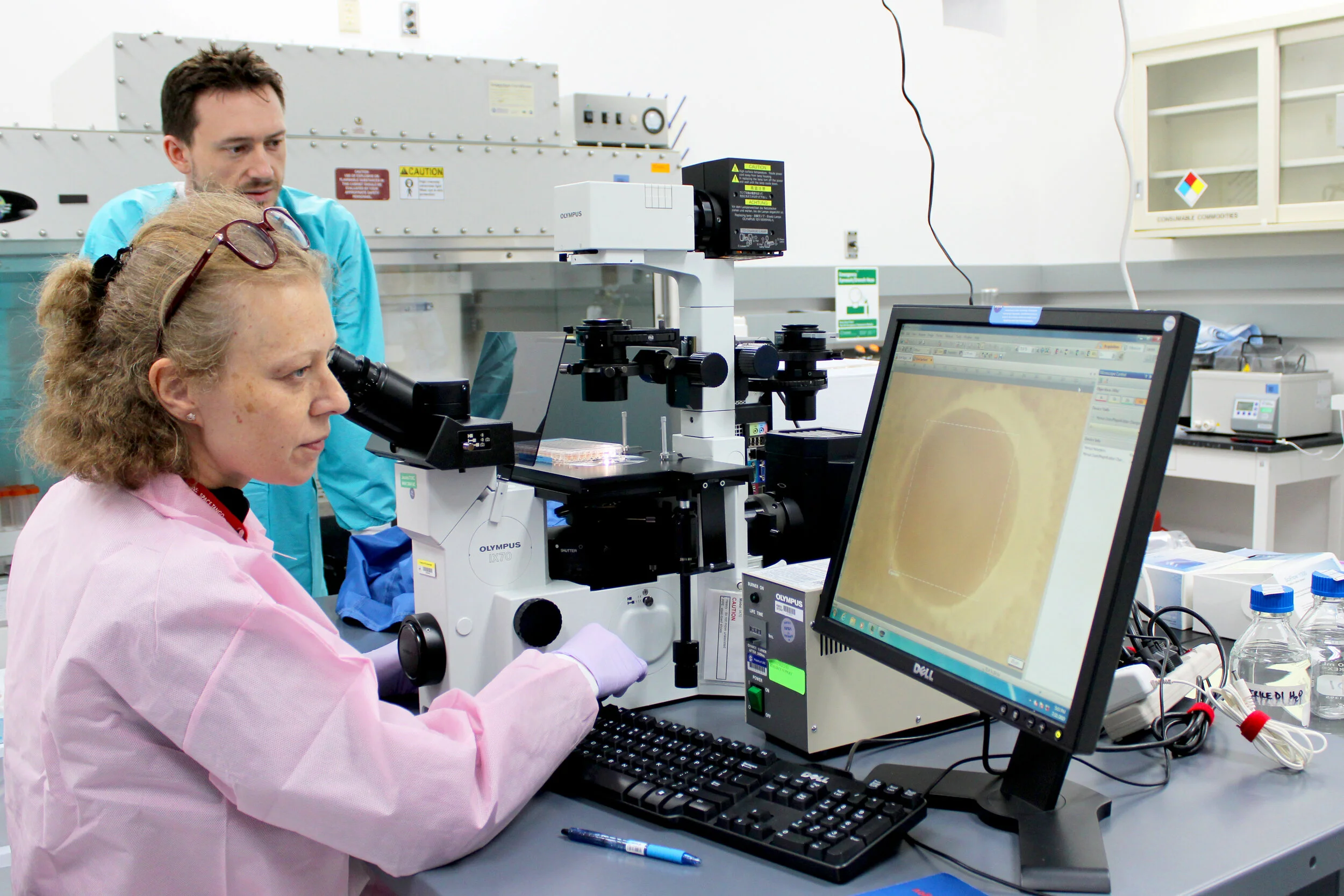 Stem Cells Take to Space — Stem Cells in Space