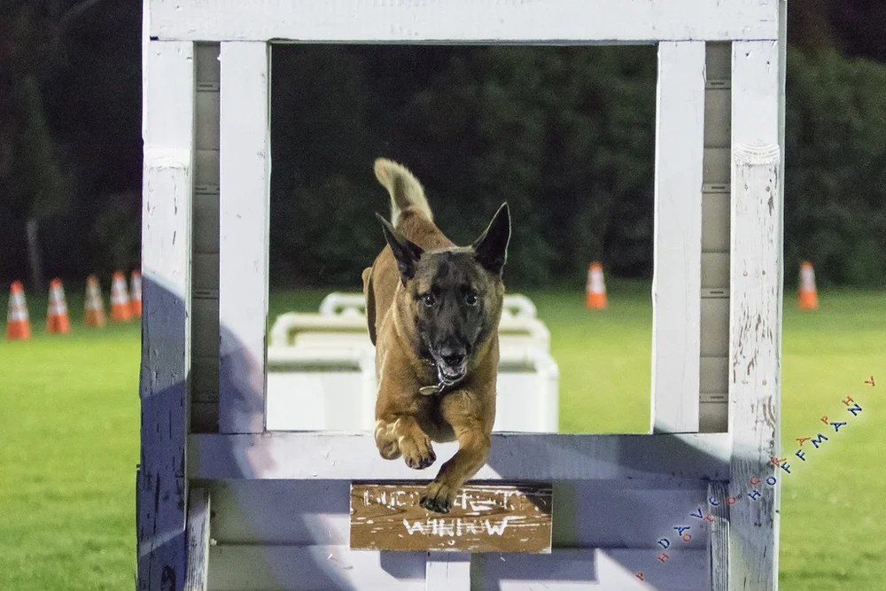 Specialty Units — Glassboro Police