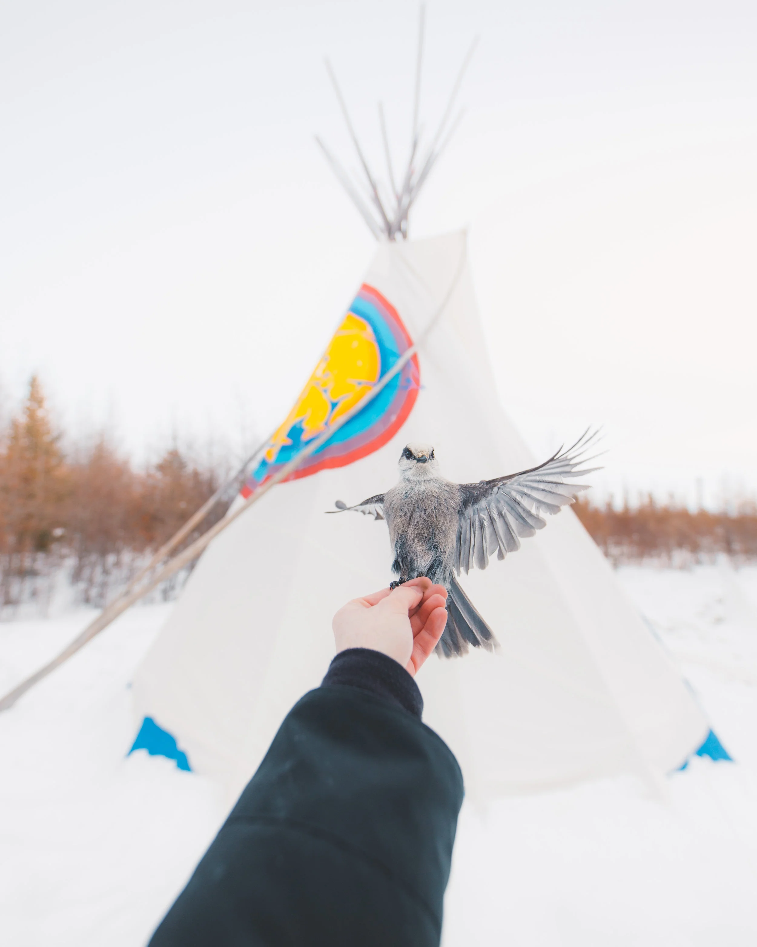 Media — Austin MacKay