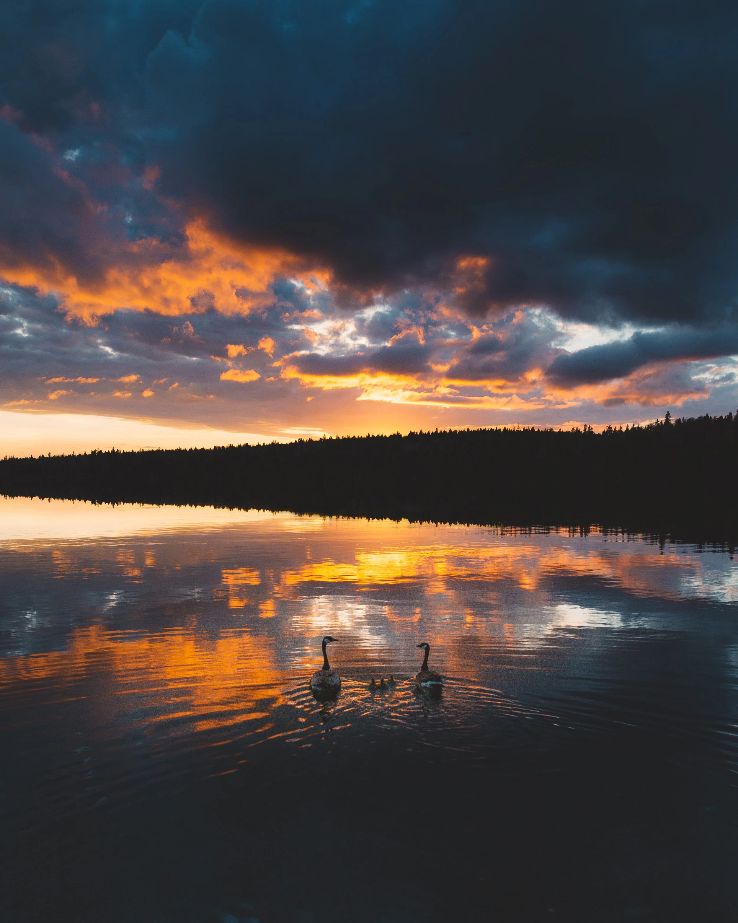 Media — Austin MacKay