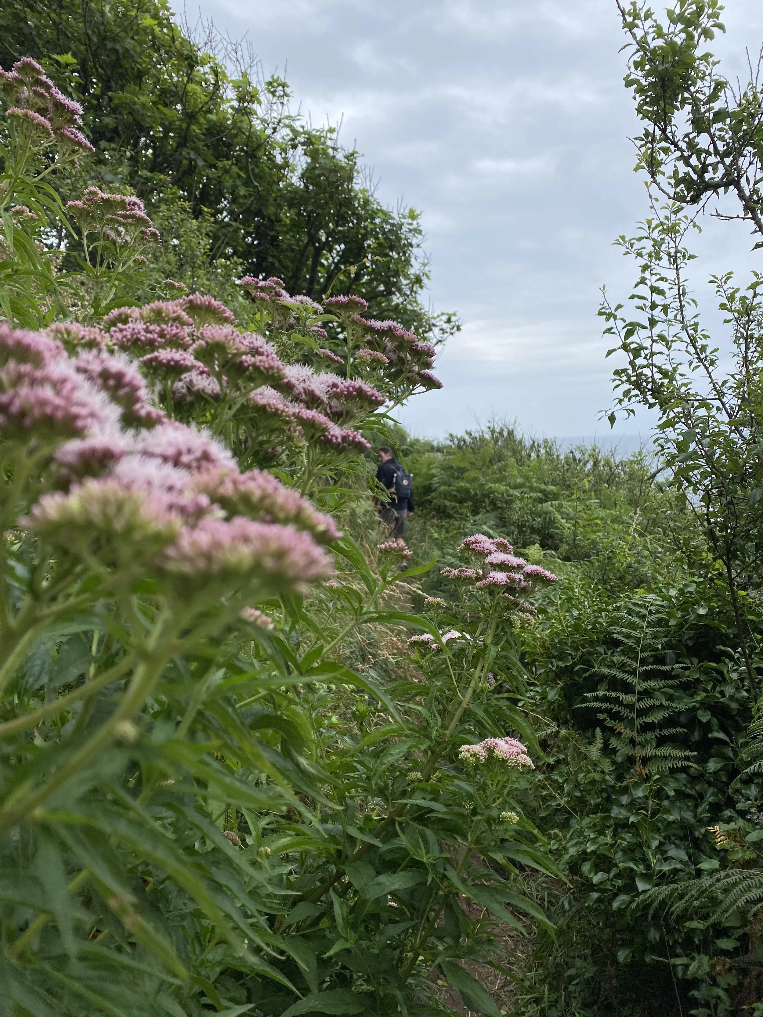 About — Animula Stores