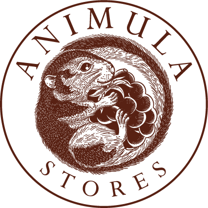 Animula Stores