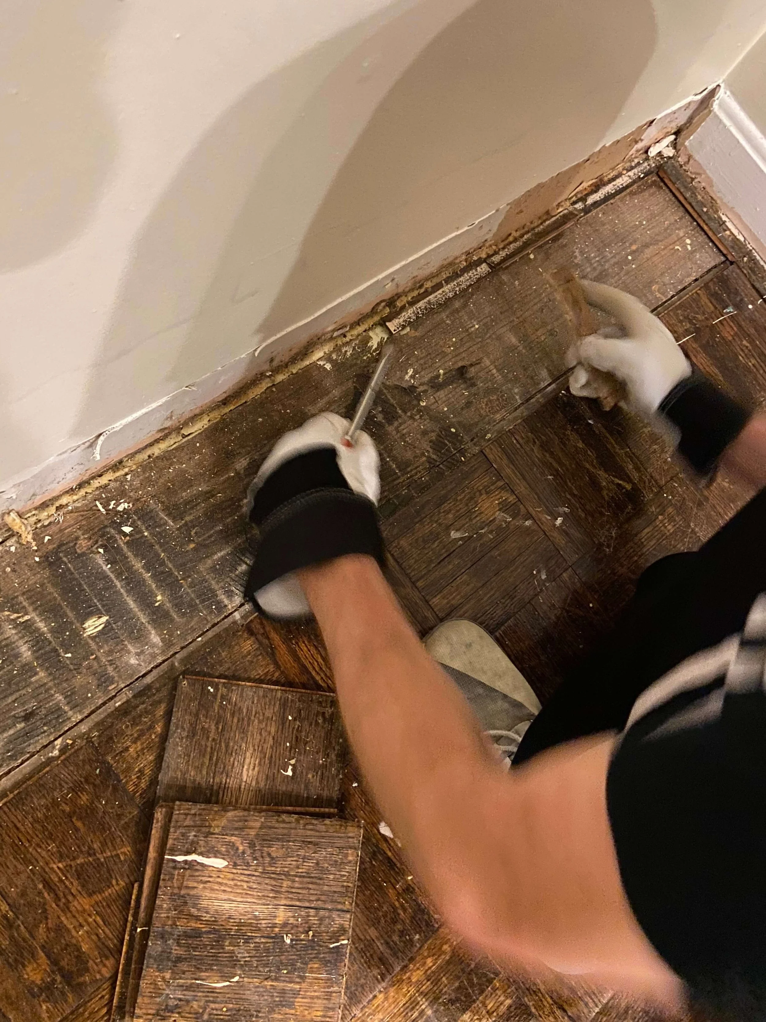 How to replace carpet with hardwood floor? A step-by-step guide to ...