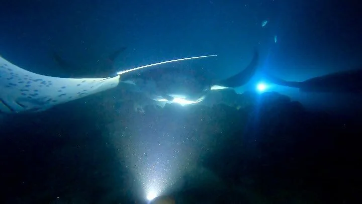 Matthew Mian, MD - Neurosurgeon in Denver, Colorado