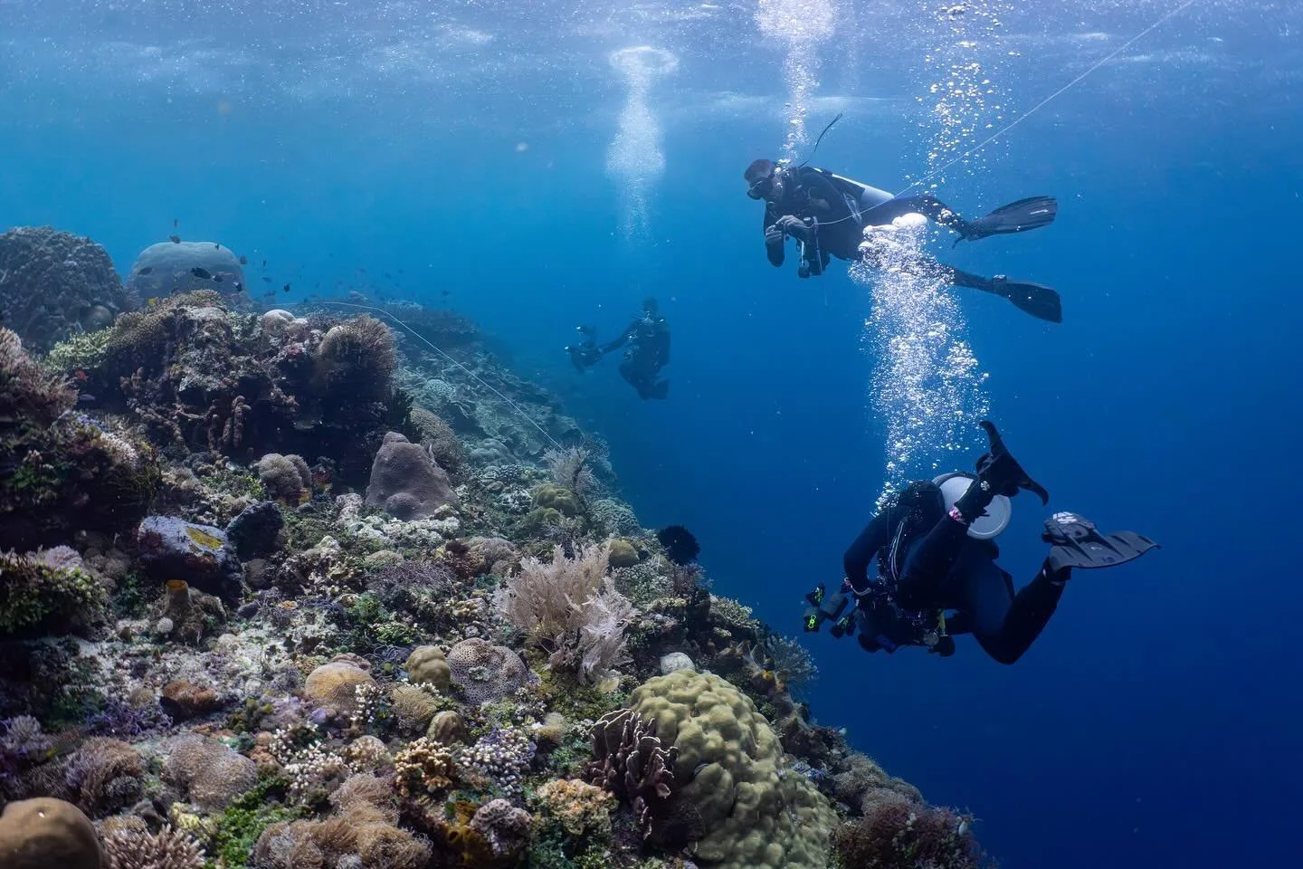 Matthew Mian, MD - Neurosurgeon in Denver, Colorado