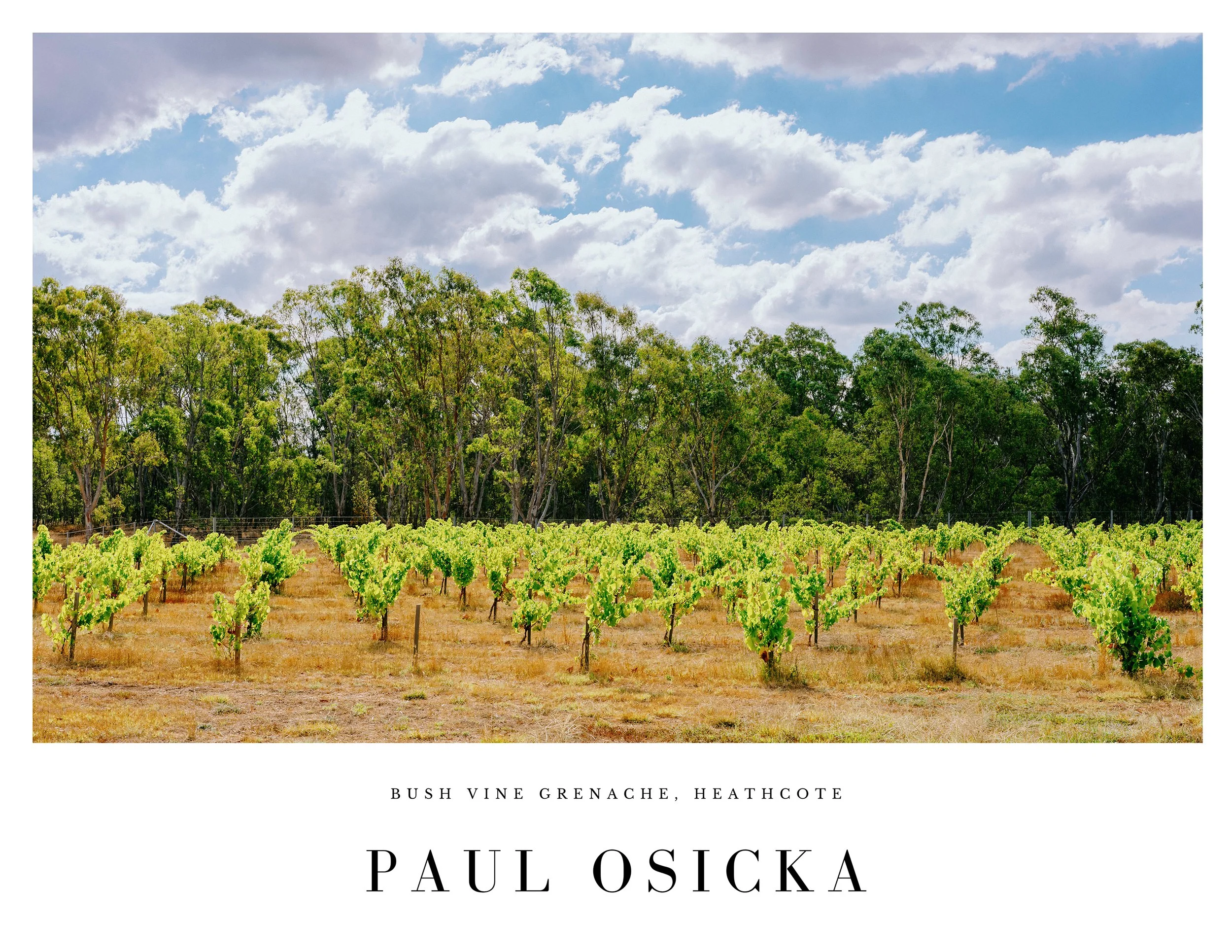 Who grows grenache in Victoria? — Campbell Mattinson