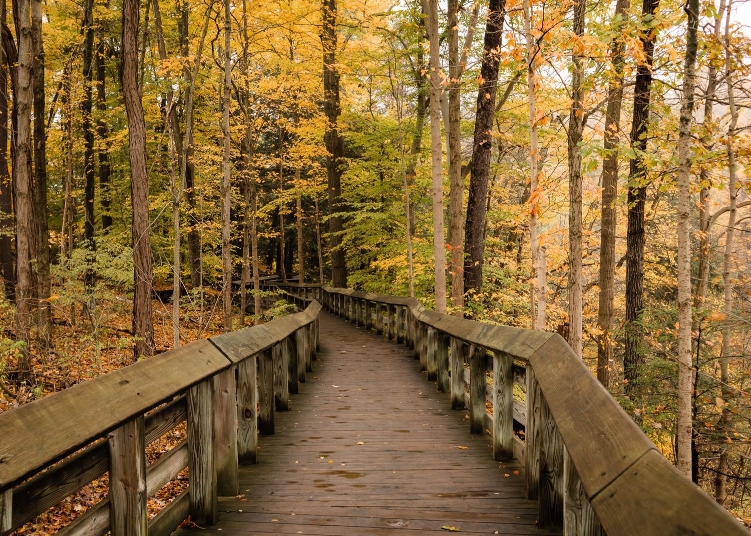 Hiking in Ohio: Some of the Best Trails in the State - Nicole Kathryn ...