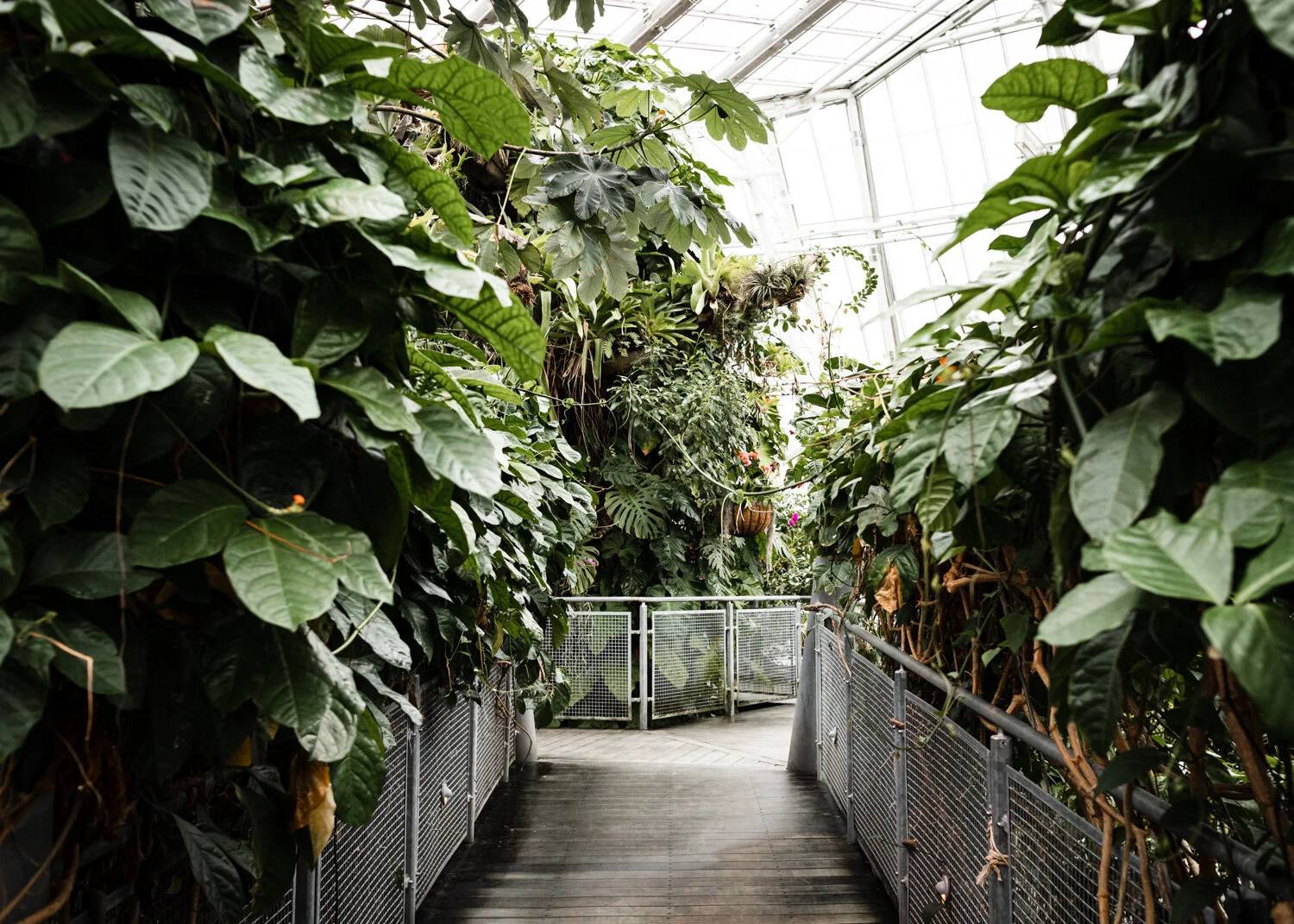 Botanical Garden Greenhouse