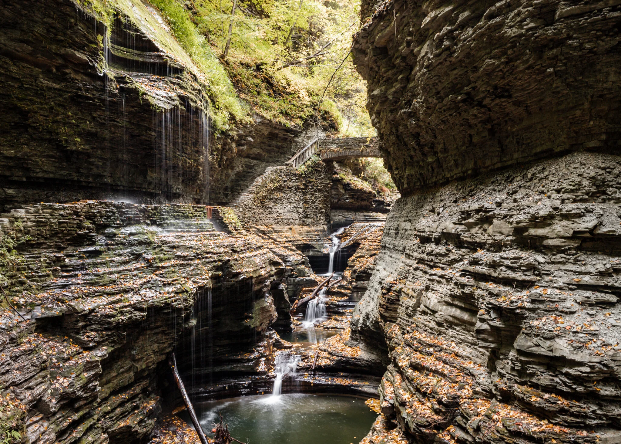 Watkins Glen