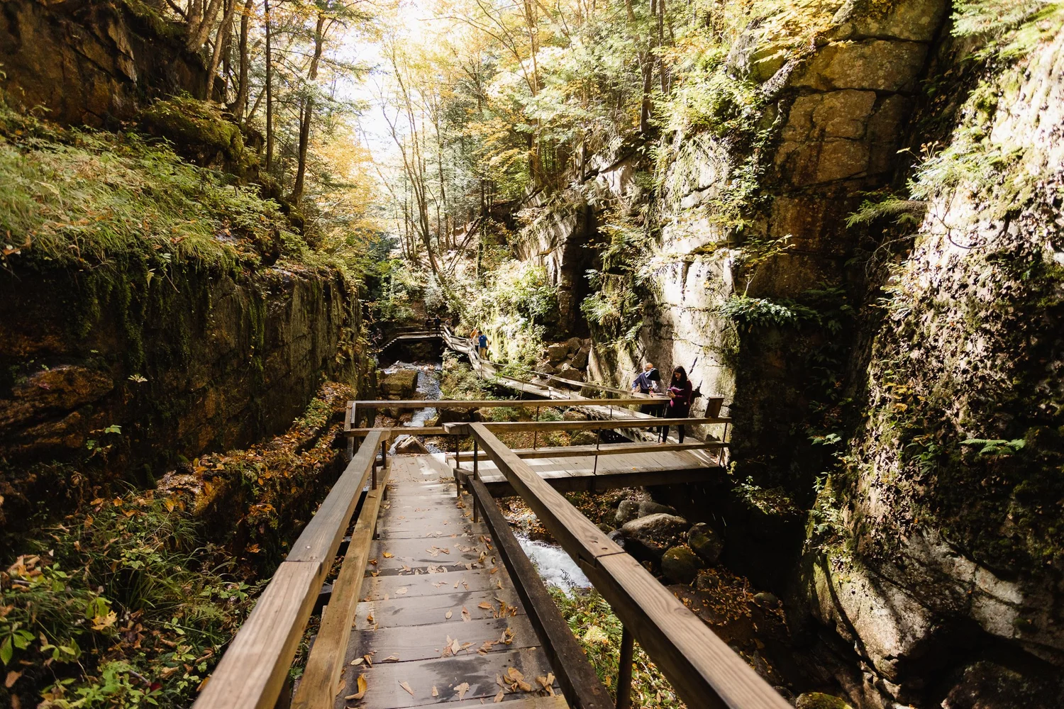 Hiking the Flume Gorge Trail in Franconia Notch State Park - Nicole ...