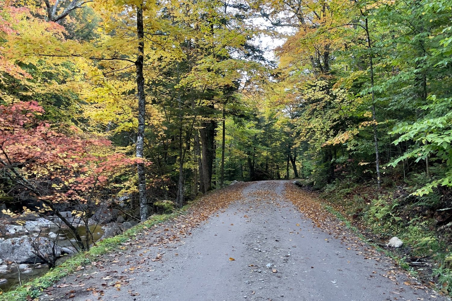 Hiking the Indian Head Trail (& Rainbow Falls) in the Adirondacks ...