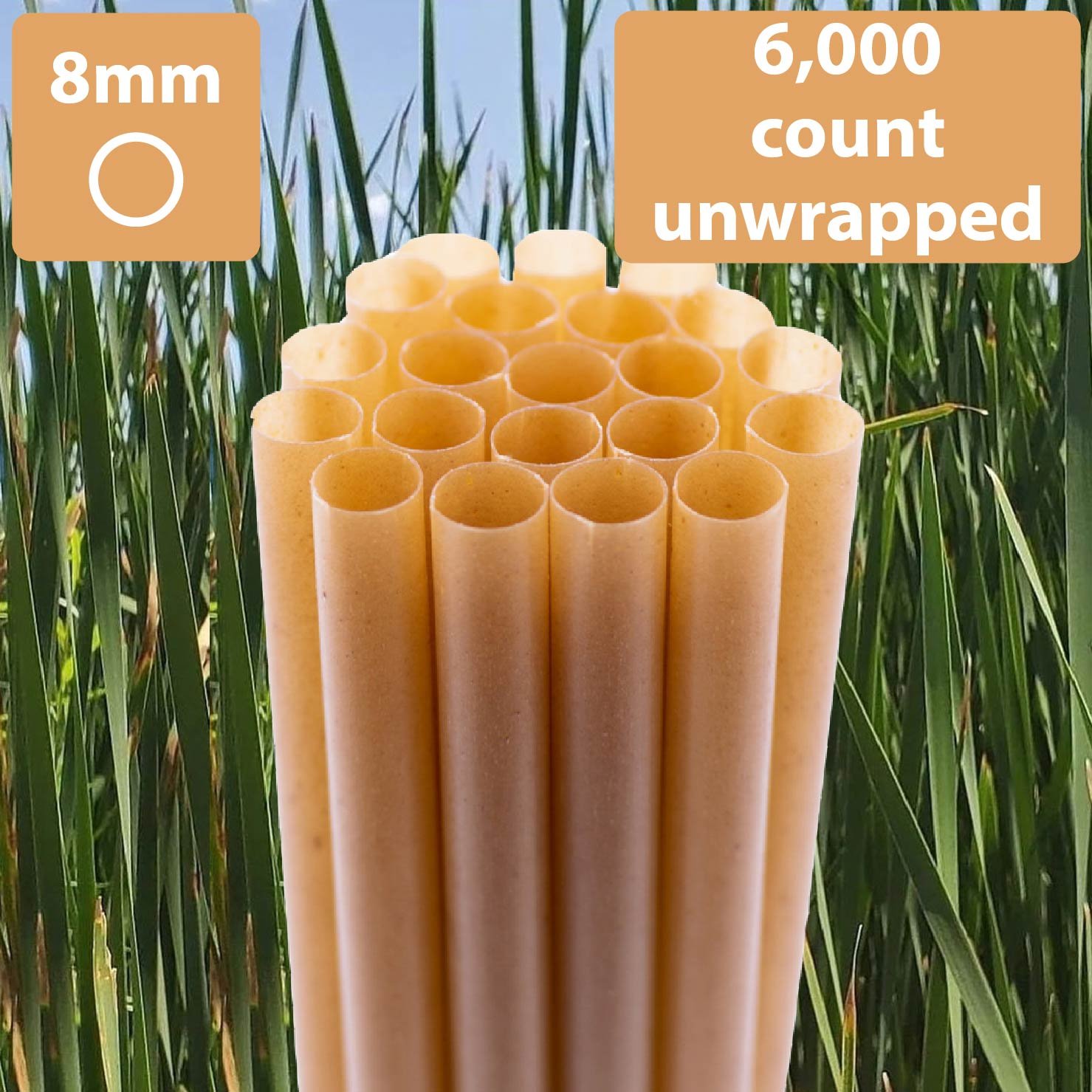 Cycle Of Life Natural Products