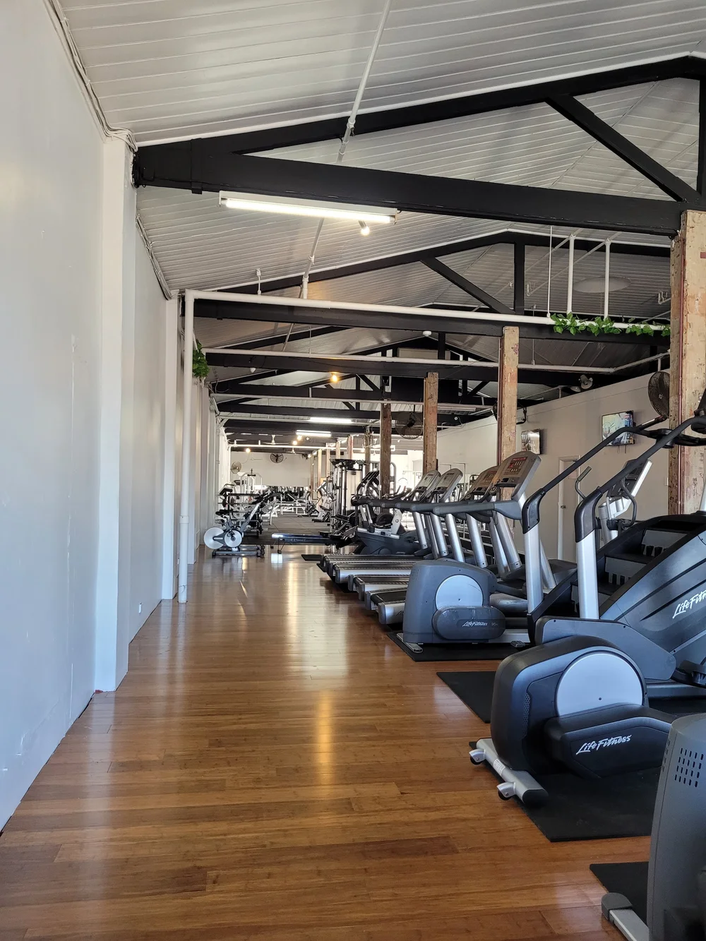 The Fitzroy Gym