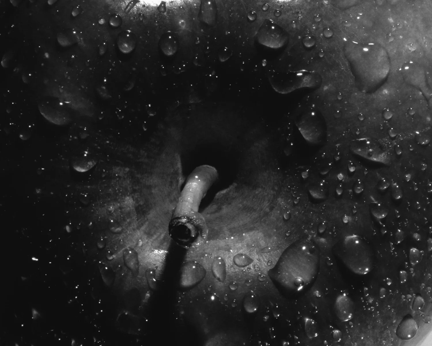 Basic 4x5 Sheet Film Scanning Kit for 4x5 Film Scanning (ANR ...