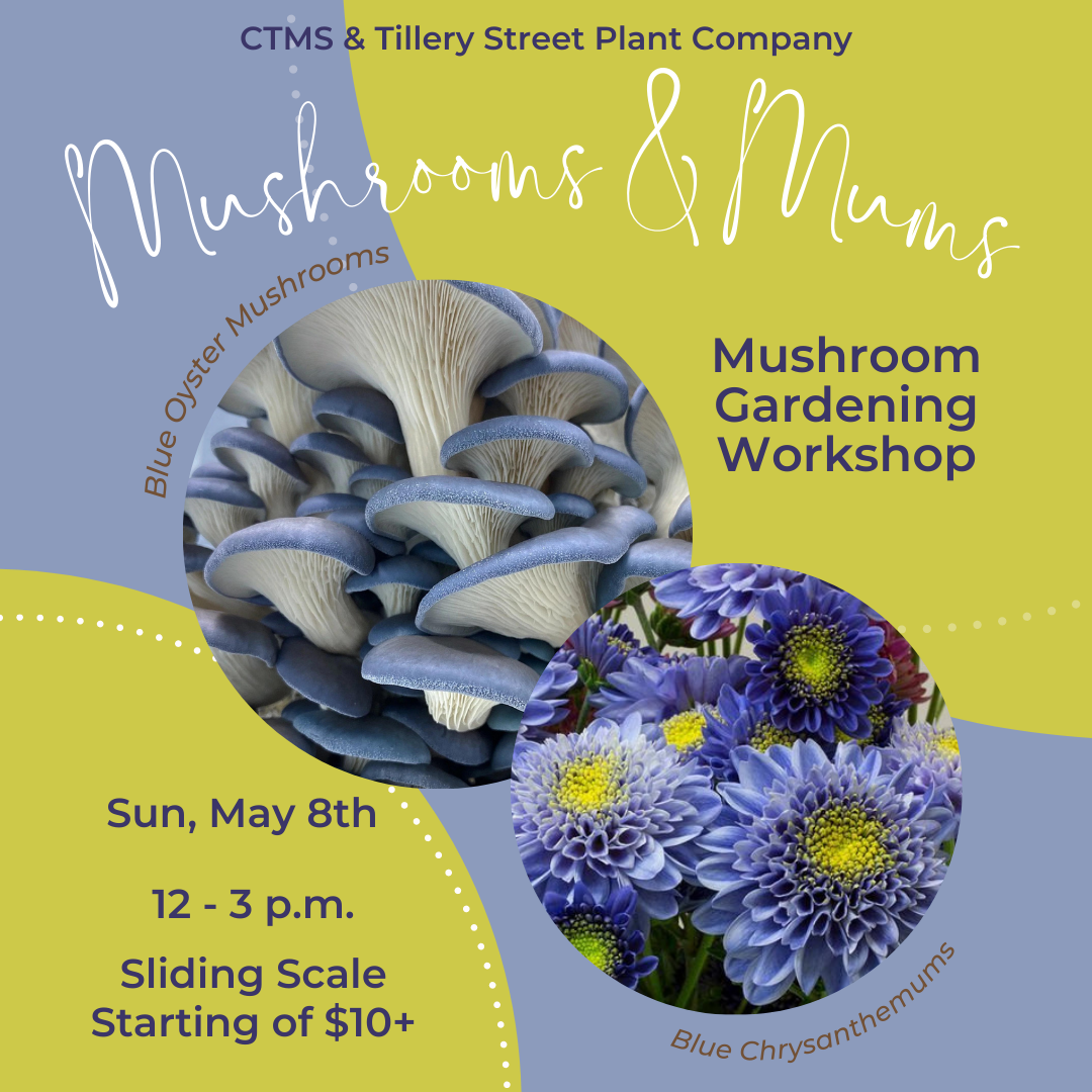 Workshops — Central Texas Mycological Society