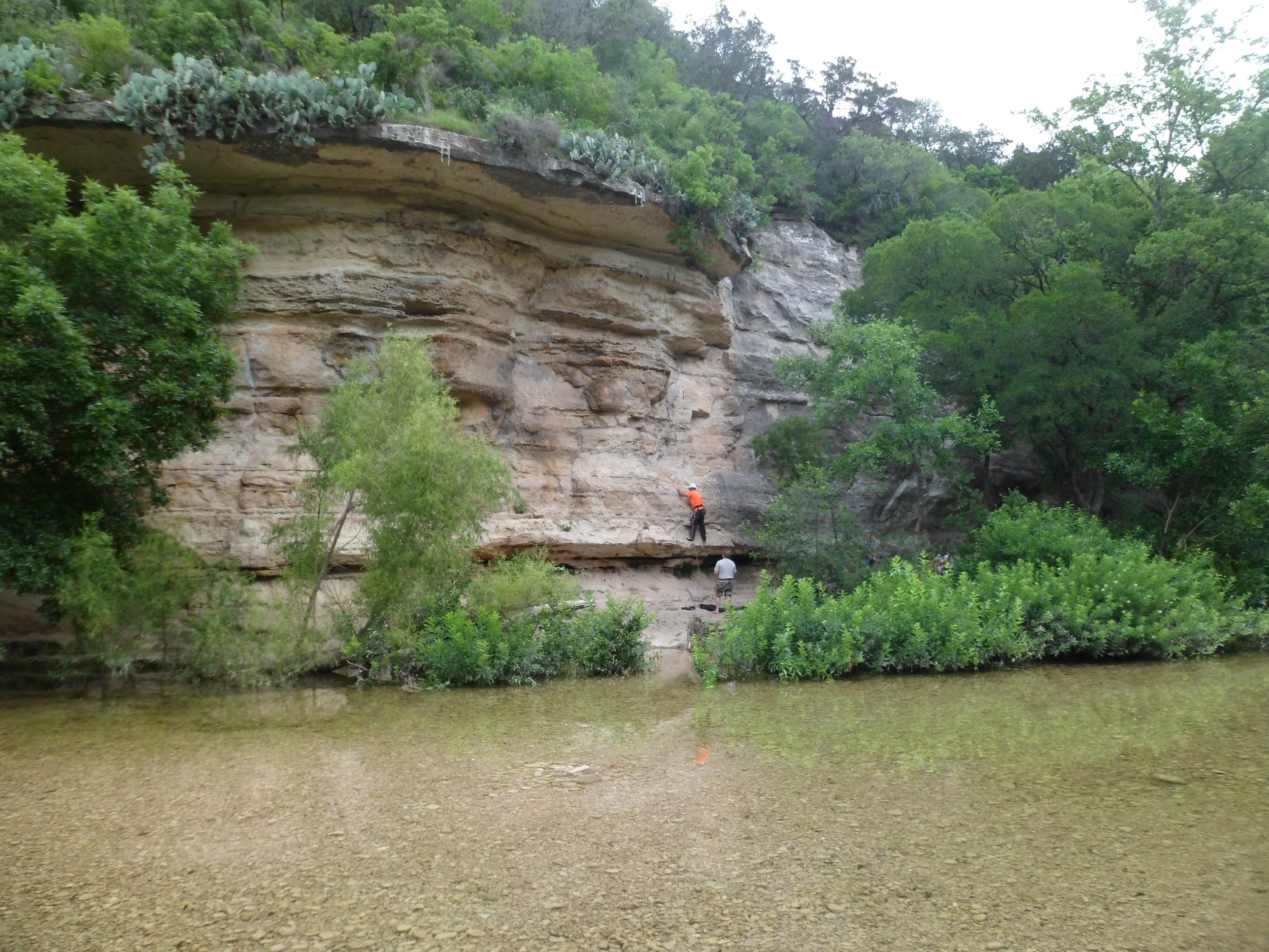 Innoculation Day at Gus Fruh — Central Texas Mycological Society