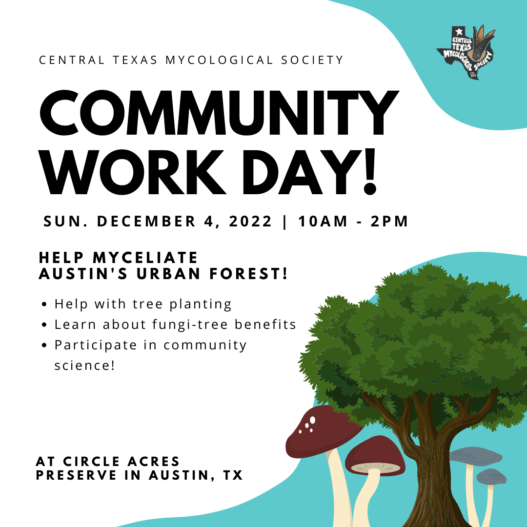 Community Work Day at the Myco Research Station — Central Texas ...